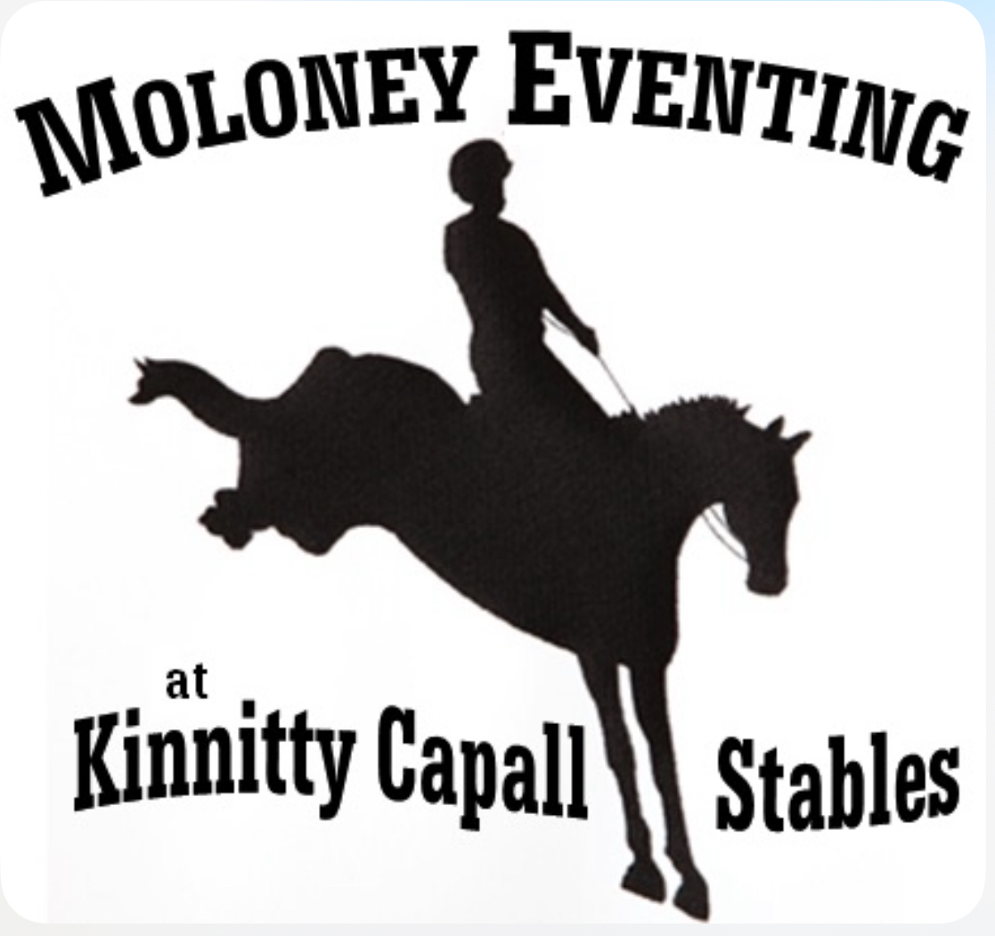 Kinnitty Capall Stables XC Derby