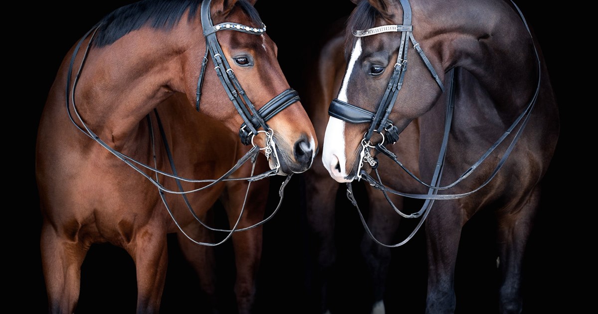 Second Nature Farm Cavaletti Clinic
