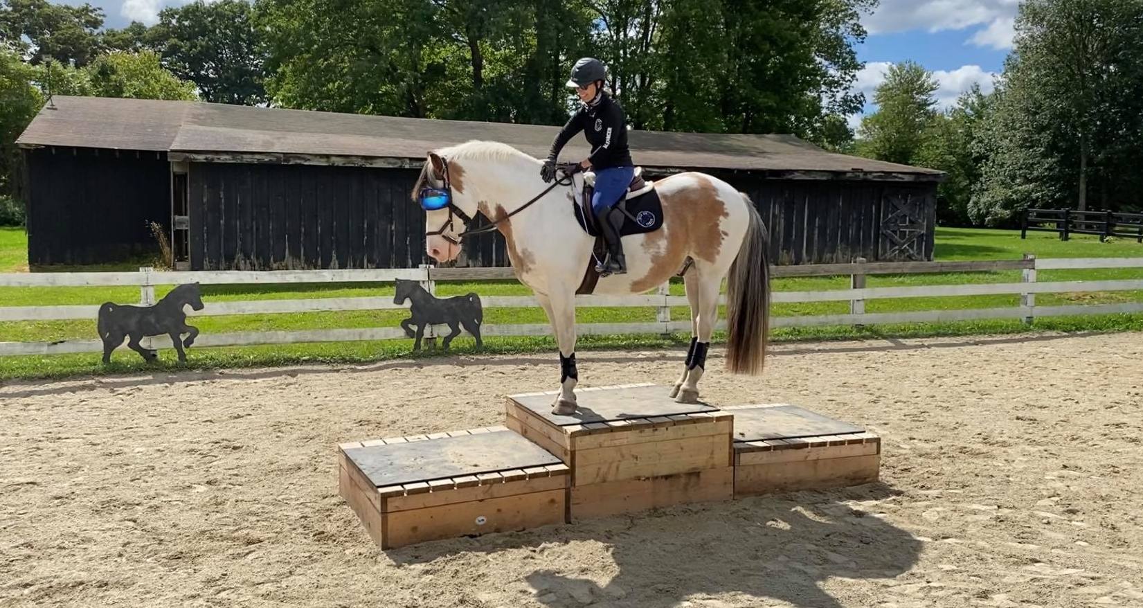 Versatility Clinic with Peter Whitmore