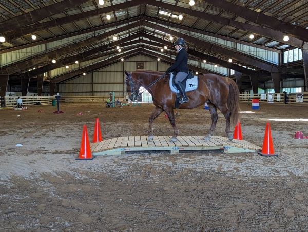 NOVAWE Working Equitation Schooling Show -August 10th - Frying Pan Park ...