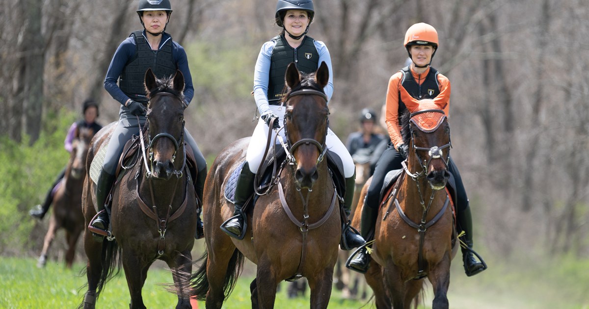 Golden's Bridge Hounds Spring Hunter Pace