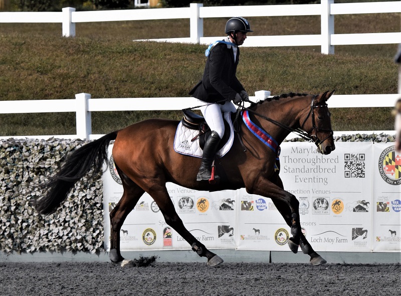 Martin Douzant Winter Jumping Clinic at CoExist Stables
