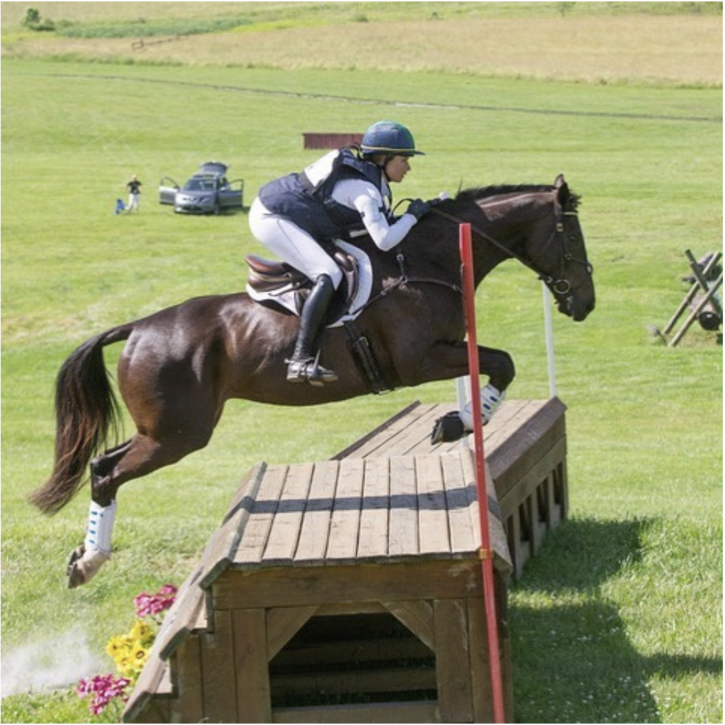 LILLIAN HEARD WOOD Clinic - 5 STAR RIDER is a wonderful teacher! Come ...