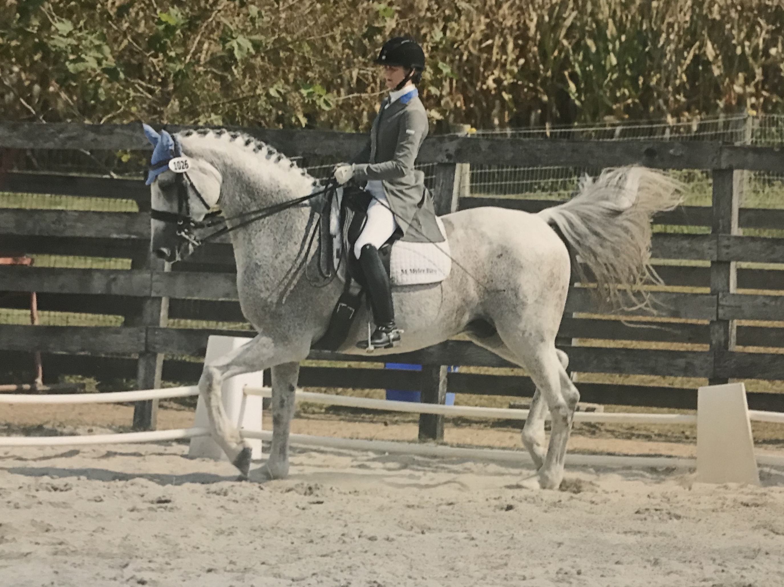 Postponed:Complete Freestyle Clinic with Mike Matson and Christine Betz ...