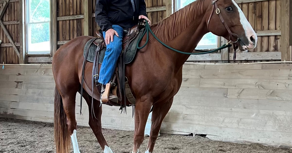 Versatility Clinic with Peter Whitmore