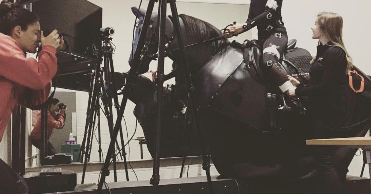 Human and Equine Biomechanics Clinic Seminar