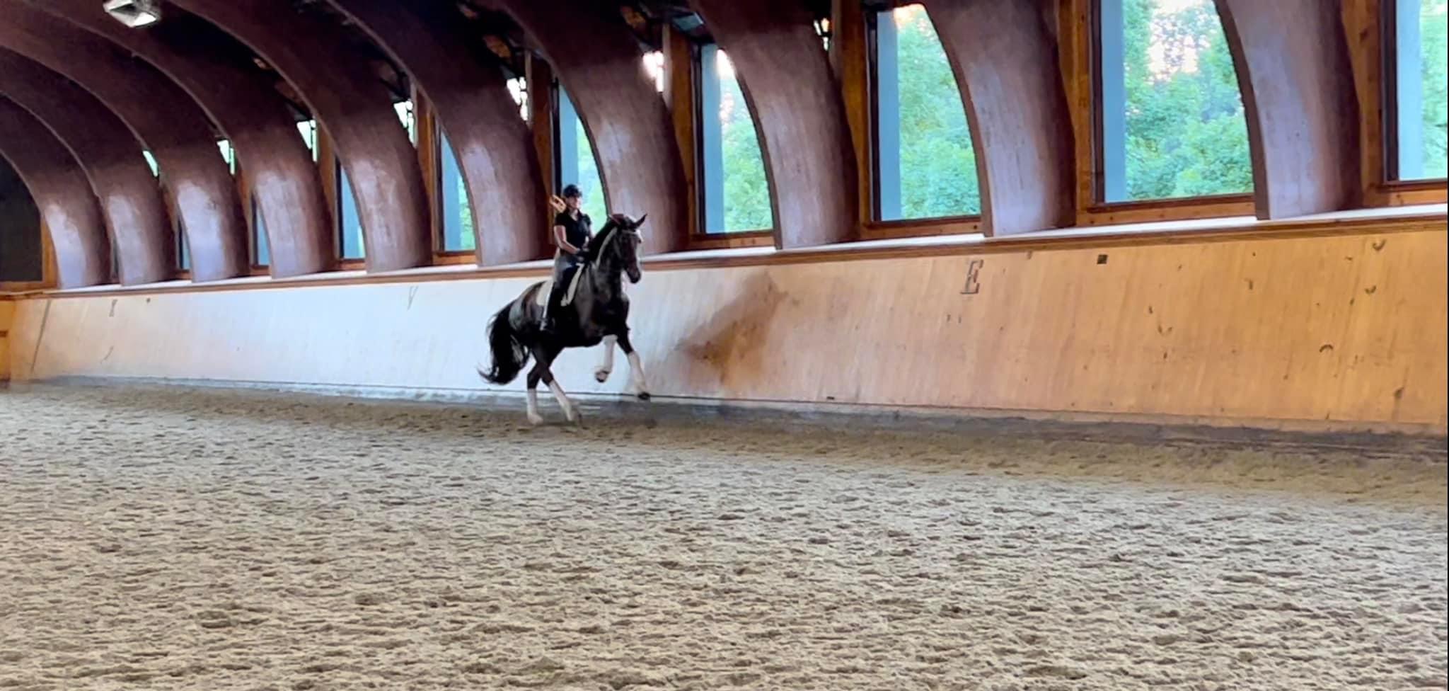 Weekend Clinic with Kathy Connelly