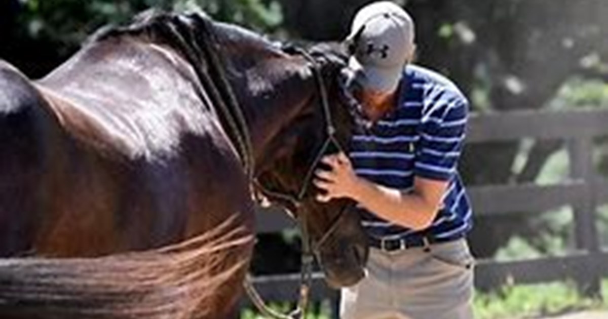 Michael Alway Horsemanship Clinic