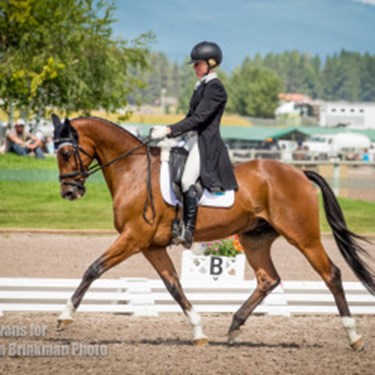 FEI Eventing Dressage Ride-a-Test at Barnstaple South Event Training Center