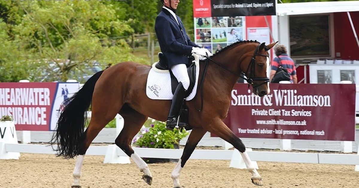 Clinic with top British dressage trainer James Burtwell
