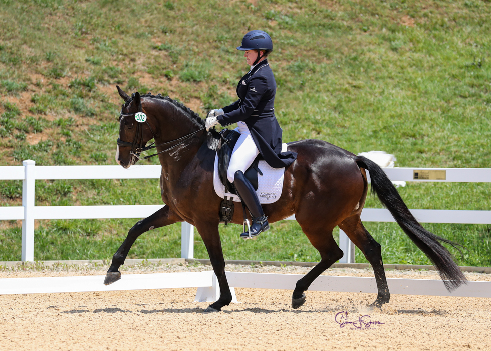 Saddle fitting with Colleen Meyer